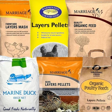 Poultry Feeds – SPR Centre