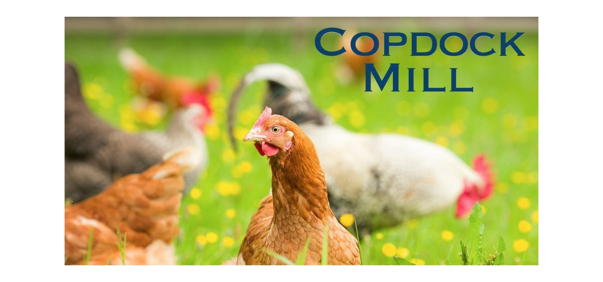 Copdock Mill - Flint Poultry Grit 5kg - Buy Online SPR Centre UK