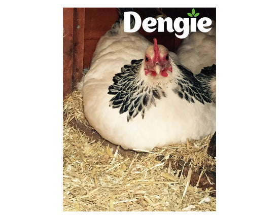 Dengie - Fresh Bed for Chickens 50 Litres - Buy Online SPR Centre UK