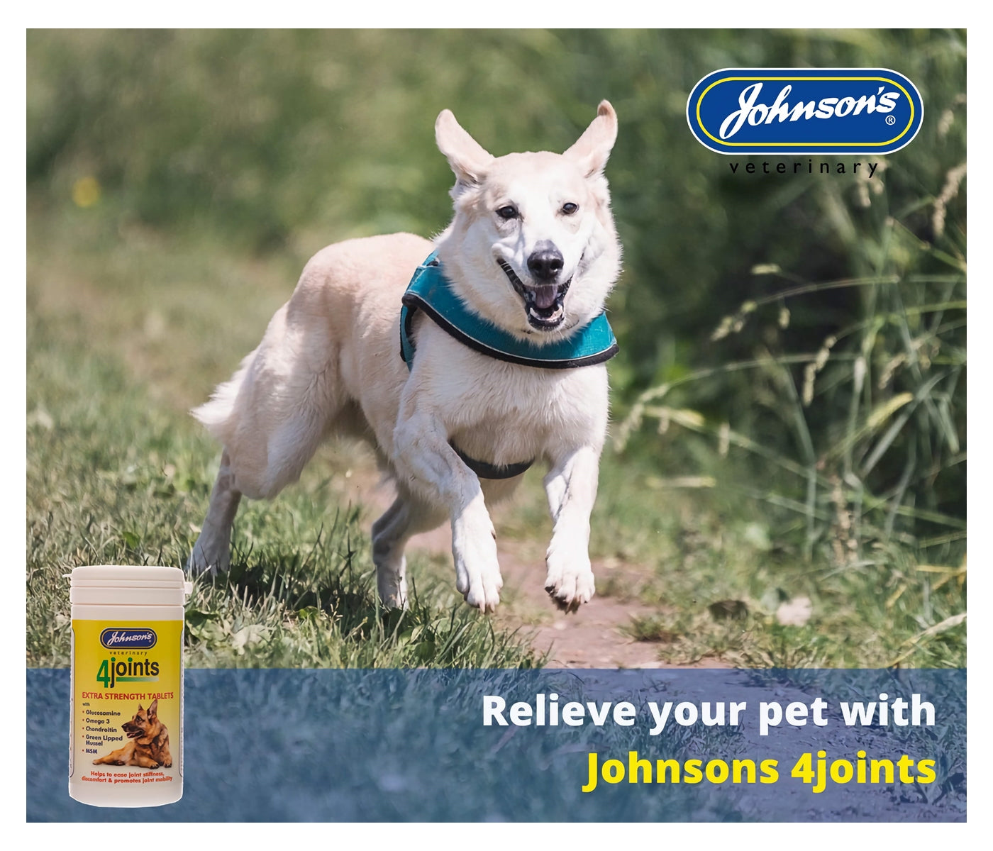 Johnson's - 4Joints Extra Strength Tablets - Buy Online SPR Centre UK