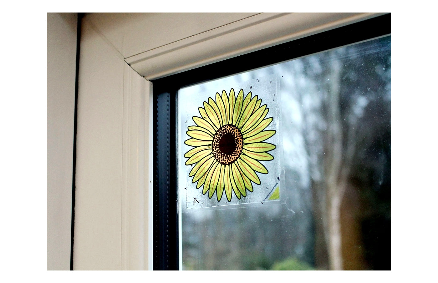 Rentokil - Advanced Fly Trap Window Sticker (4 Pack) - Buy Online SPR ...