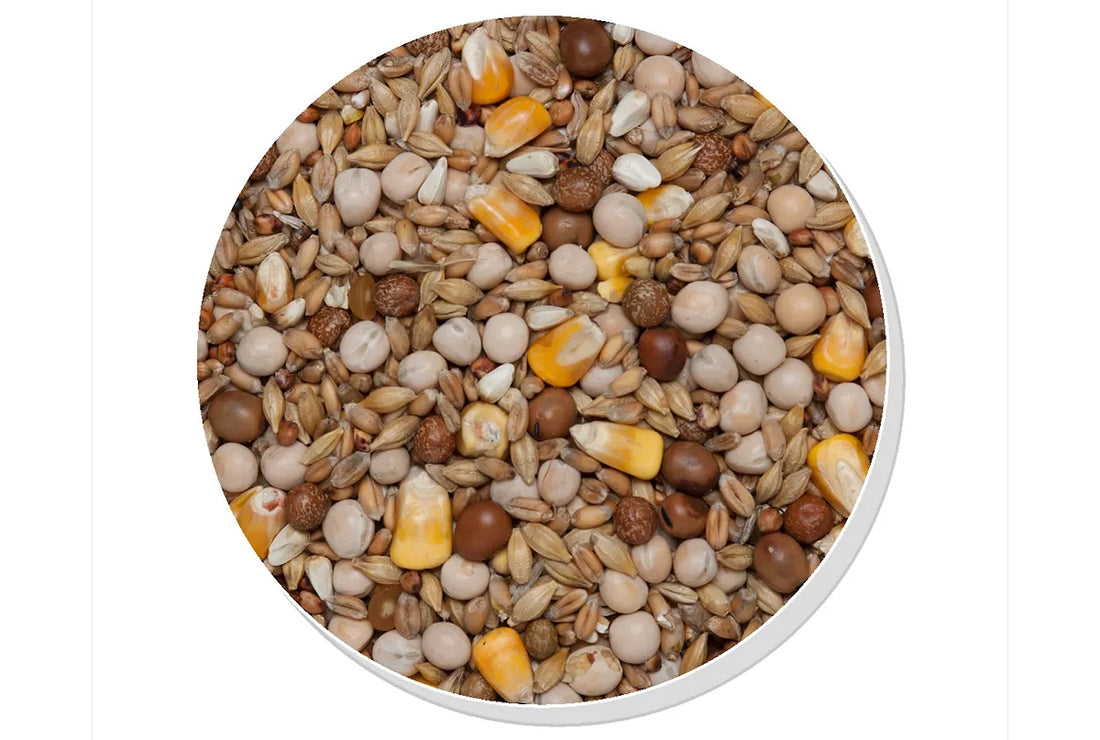 Copdock Mill - Economix Pigeon Corn - 20kg – SPR Centre